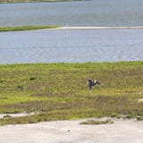 Oso Bay Wetlands Preserve, Texas - 326 Reviews, Map | AllTrails