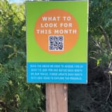 Oso Bay Wetlands Preserve, Texas - 326 Reviews, Map | AllTrails