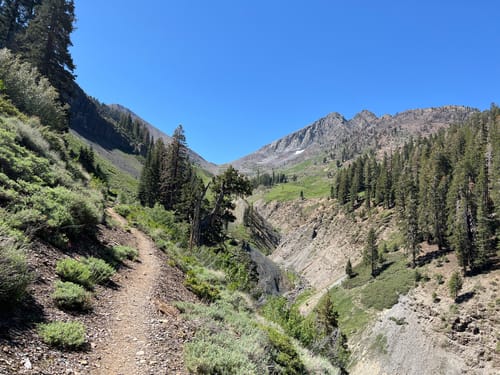 2023 Best 10 Trails and Hikes in Three Rivers | AllTrails