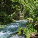 Greer Spring Trail, Missouri - 303 Reviews, Map | AllTrails