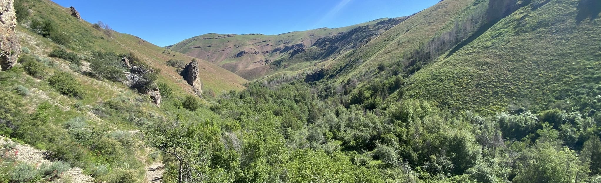Three Fork Loop: 5 Reviews, Map - Idaho | AllTrails