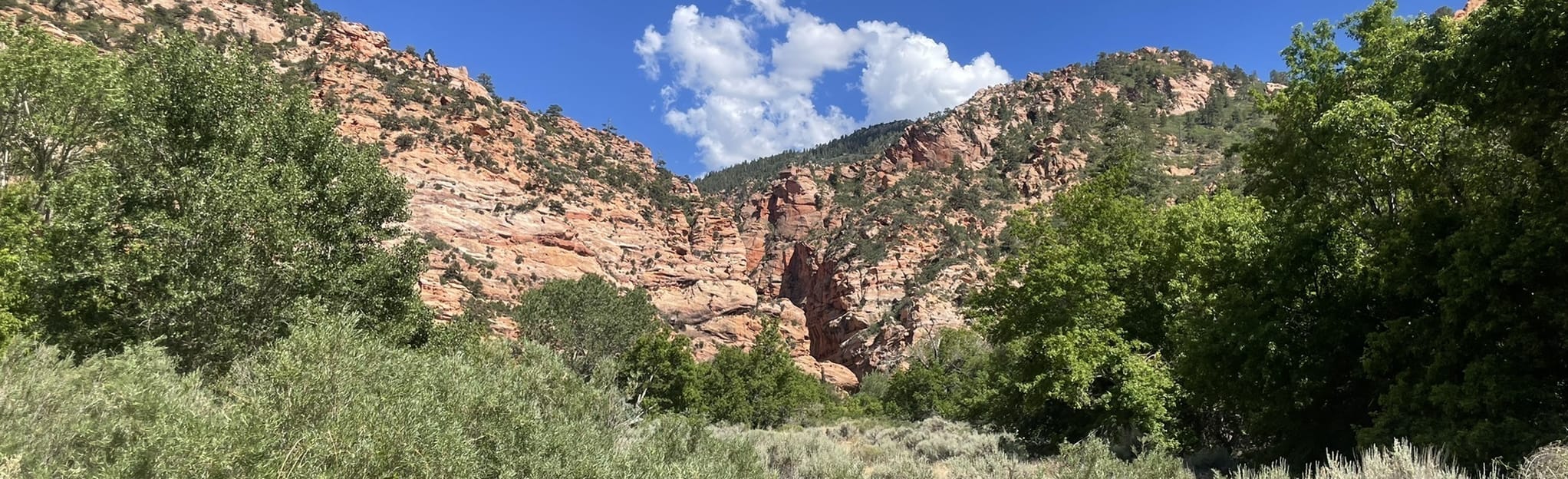 Spring Creek Canyon, Utah - 1,149 Reviews, Map | AllTrails