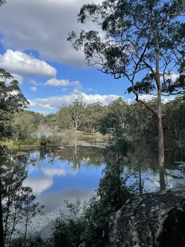 Best Walking Trails in Lake Parramatta Reserve | AllTrails