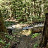 Upper Priest River Trail, Idaho - 74 Reviews, Map | AllTrails