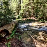 Upper Priest River Trail, Idaho - 74 Reviews, Map | AllTrails