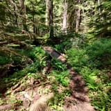 Upper Priest River Trail, Idaho - 74 Reviews, Map | AllTrails