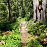 Upper Priest River Trail, Idaho - 74 Reviews, Map | AllTrails