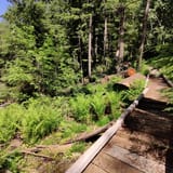 Upper Priest River Trail, Idaho - 74 Reviews, Map | AllTrails