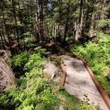 Upper Priest River Trail, Idaho - 86 Reviews, Map | AllTrails