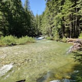 Upper Priest River Trail, Idaho - 86 Reviews, Map | AllTrails