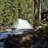 Upper Priest River Trail, Idaho - 86 Reviews, Map | AllTrails