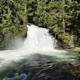 Upper Priest River Trail, Idaho - 86 Reviews, Map | AllTrails