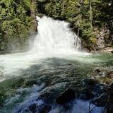 Upper Priest River Trail, Idaho - 86 Reviews, Map | AllTrails