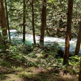 Upper Priest River Trail, Idaho - 86 Reviews, Map | AllTrails
