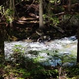 Upper Priest River Trail, Idaho - 86 Reviews, Map | AllTrails