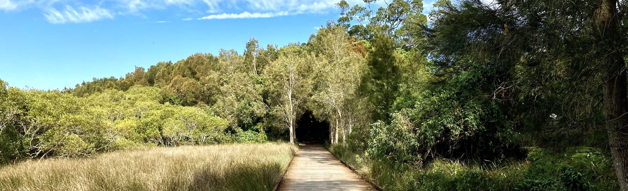 Victoria Point to Cleveland Point Walk, Queensland, Australia - 36 ...