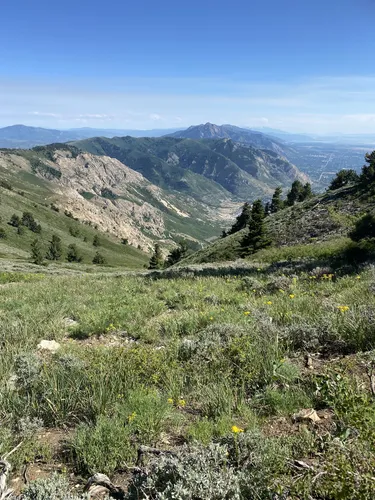 10 Best Trails and Hikes in Eden | AllTrails