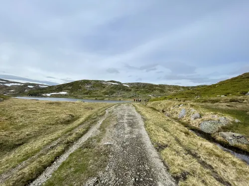 10 Best Hikes and Trails in Setesdal Vesthei Ryfylkeheiane Landscape ...