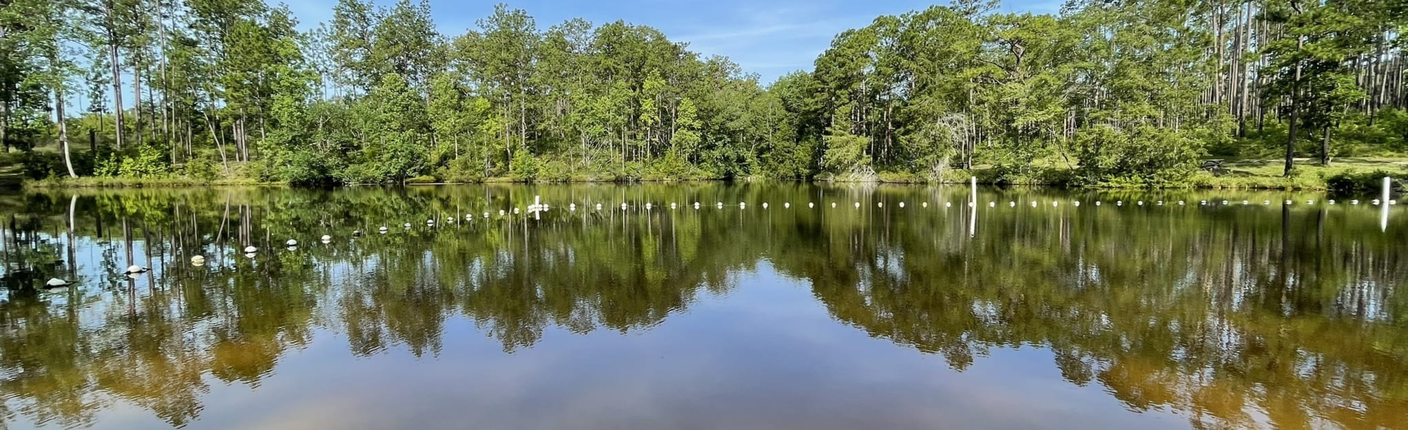 Falling Waters Wiregrass to Terrace Trail, Florida - 151 Reviews, Map ...