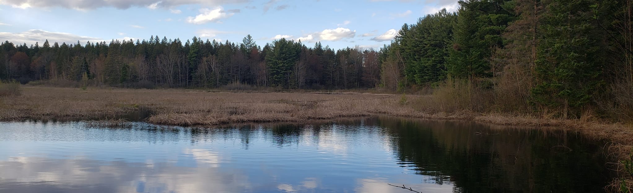 Limerick Forest: Forsythe South, Ontario, Canada - 44 Reviews, Map ...