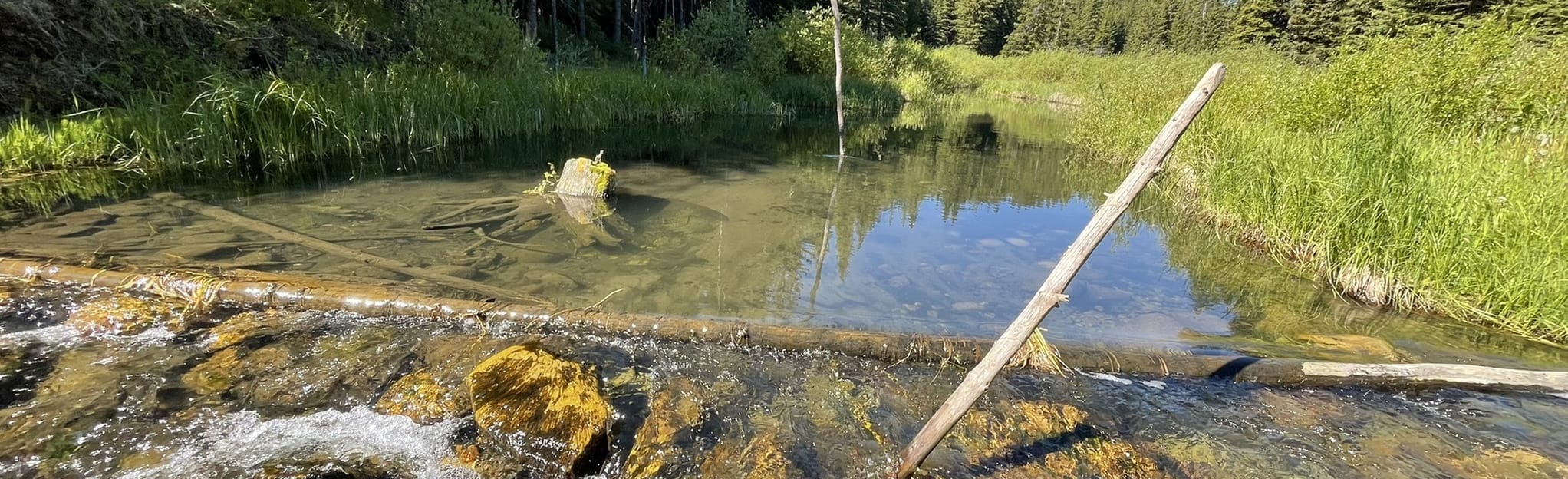 Ptolemy and Andy Good Plateau Route, Alberta, Canada - 8 Reviews, Map ...