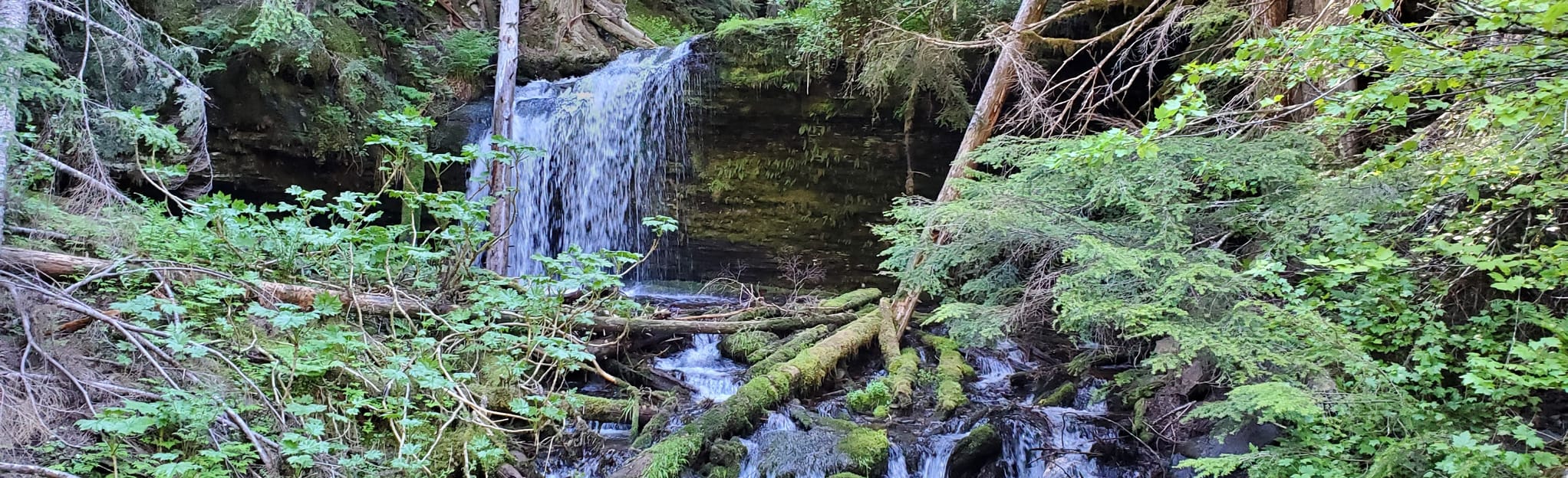 Fern & Shadow Falls, Idaho - 55 Reviews, Map | AllTrails