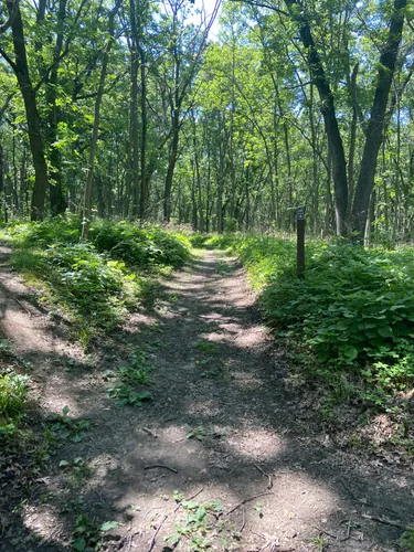 Best Hikes and Trails in Lake Red Rock | AllTrails