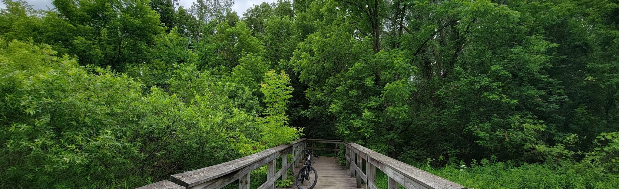 Mill Pond, Mary Dawson Park, and Rumble Pond Loop: 200 Reviews, Map ...