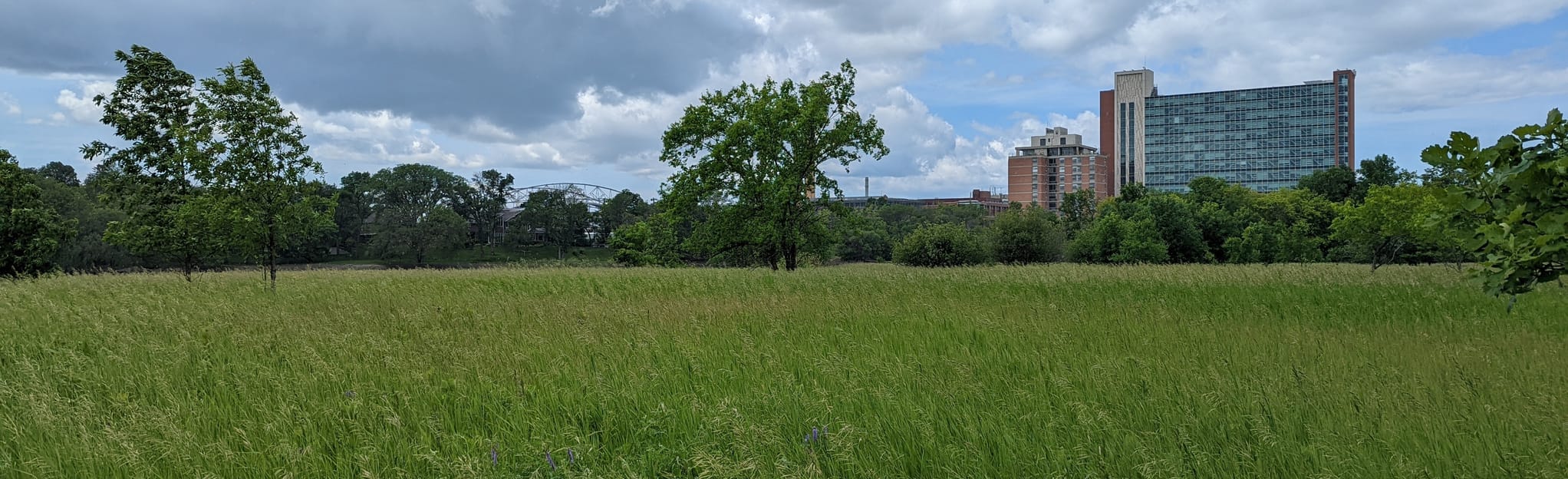 Henteleff Park to Normand Park Trail: 180 Reviews, Map - Manitoba ...