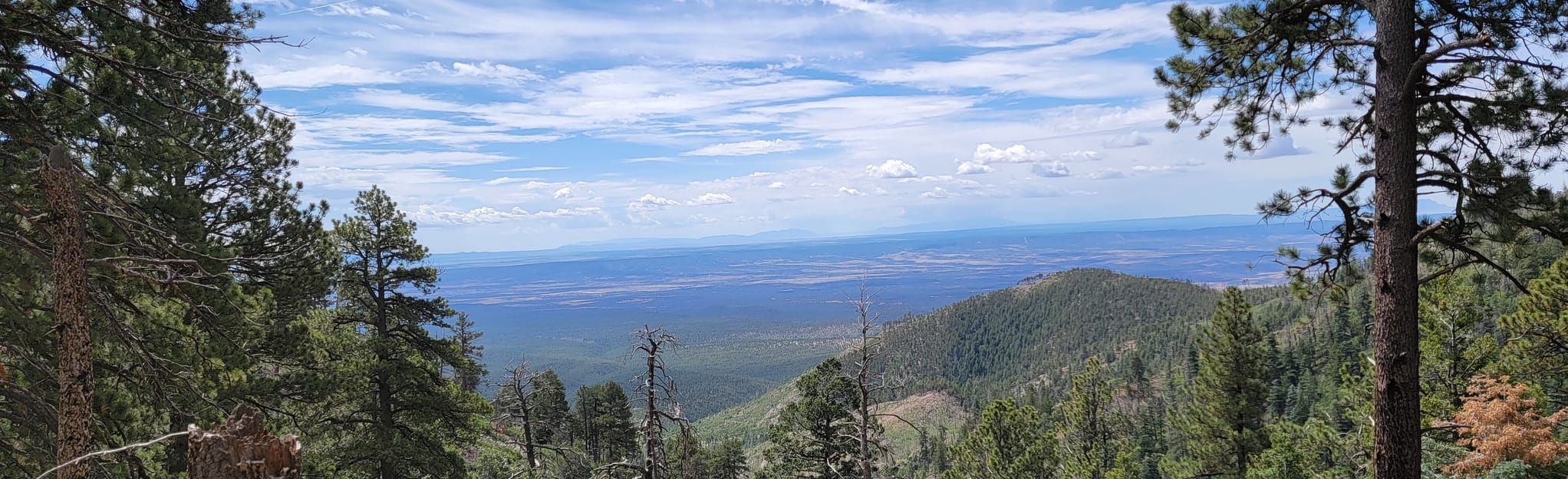 Kayser Mill Trail: 23 Reviews, Map - New Mexico | AllTrails