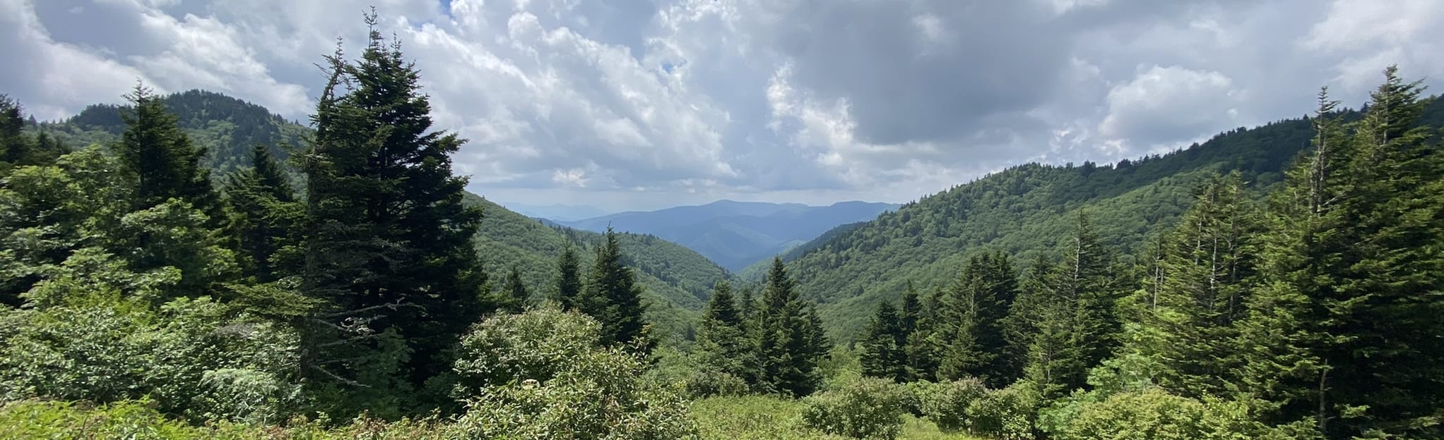 Newfound Gap Overlook to Campsite 49 via Appalachian Trail: 25 Reviews ...