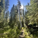 Yoran Lake Trail, Oregon - 72 Reviews, Map | AllTrails
