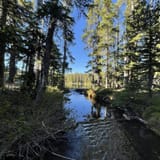 Yoran Lake Trail, Oregon - 72 Reviews, Map | AllTrails