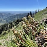 Oregon Butte Trail, Washington - 111 Reviews, Map | AllTrails