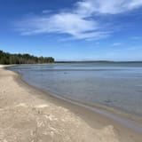Besser Natural Area Loop, Michigan - 94 Reviews, Map | AllTrails