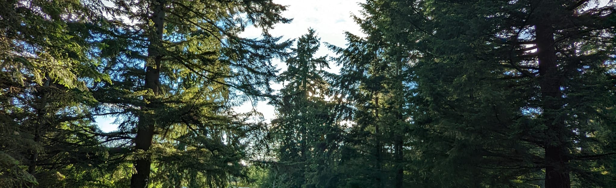 Clark Lake Park from 248th Street | Map, Guide - Washington | AllTrails