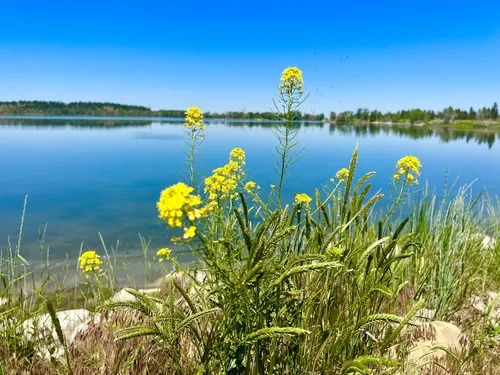 Best Hikes and Trails in Colstrip | AllTrails