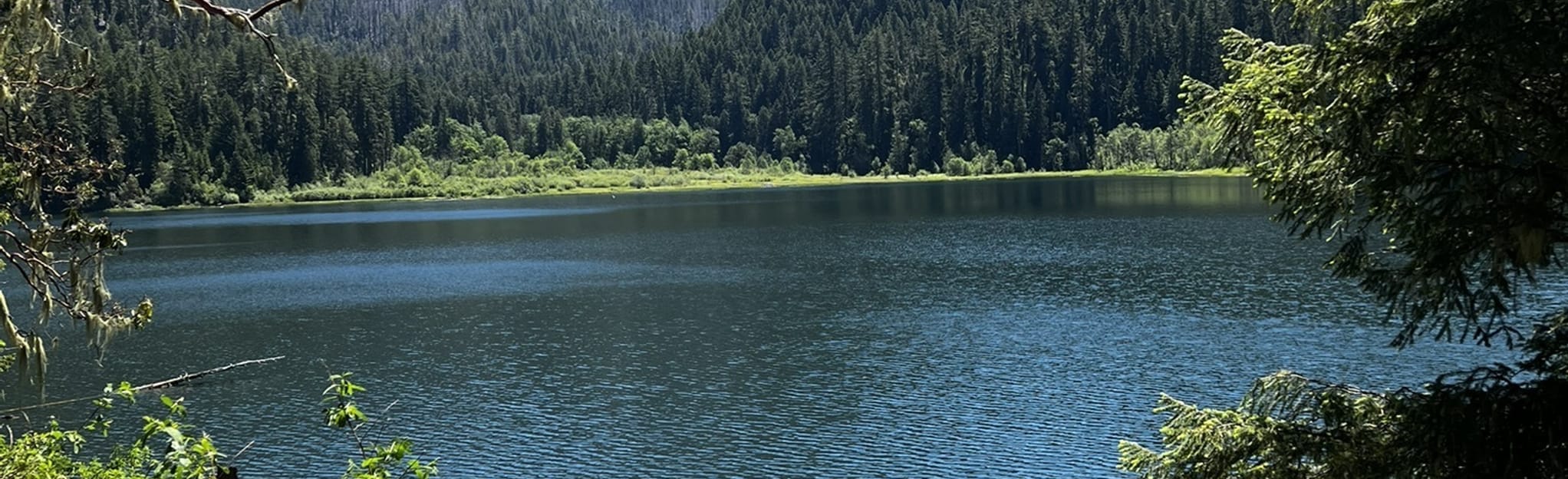 Fish Lake via Beaver Swamp Trailhead: 16 Reviews, Map - Oregon | AllTrails