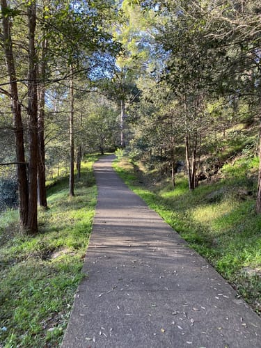 Best Hikes and Trails in Pennant Hills | AllTrails