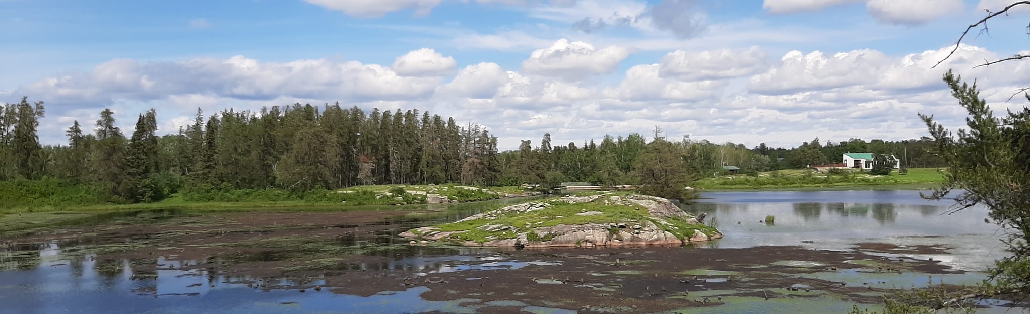 Alfred Hole Goose Sanctuary Interpretive Trail: 41 Reviews, Map ...