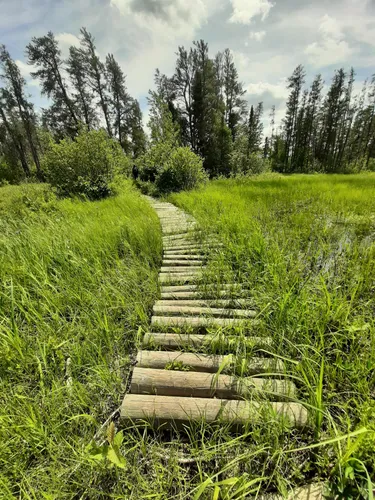 10 Best Easy Trails in Whiteshell Provincial Park | AllTrails