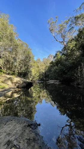 10 Best Hikes and Trails in Berowra Valley National Park | AllTrails