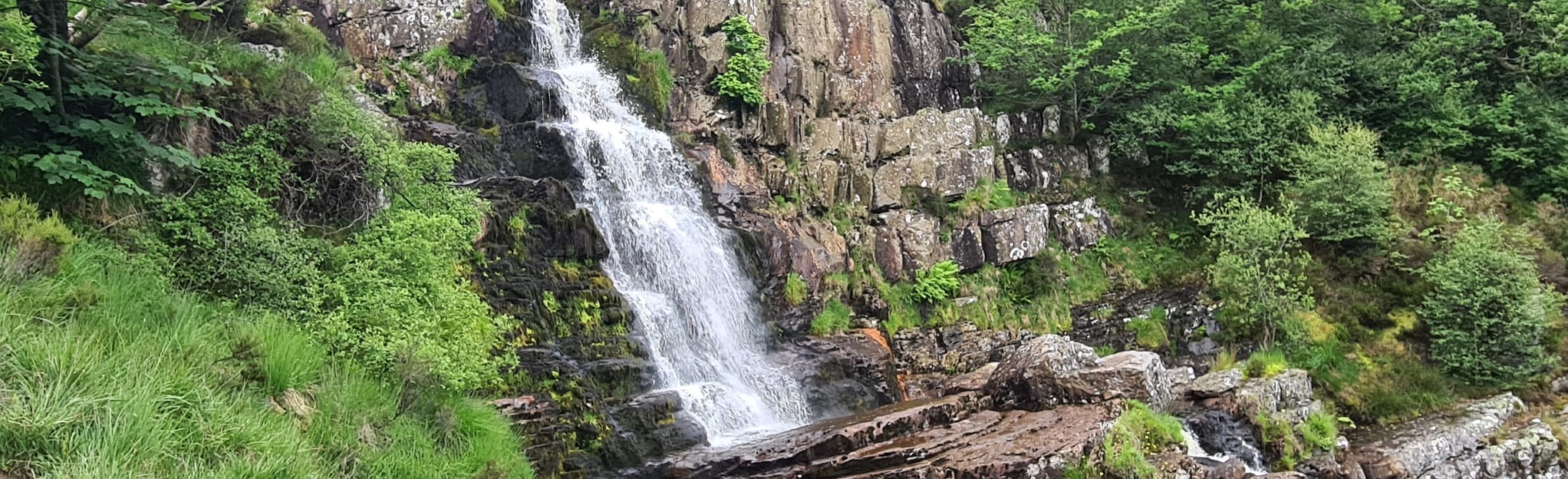 Rhiwargor Falls: 84 Reviews, Map - Gwynedd, Wales | AllTrails