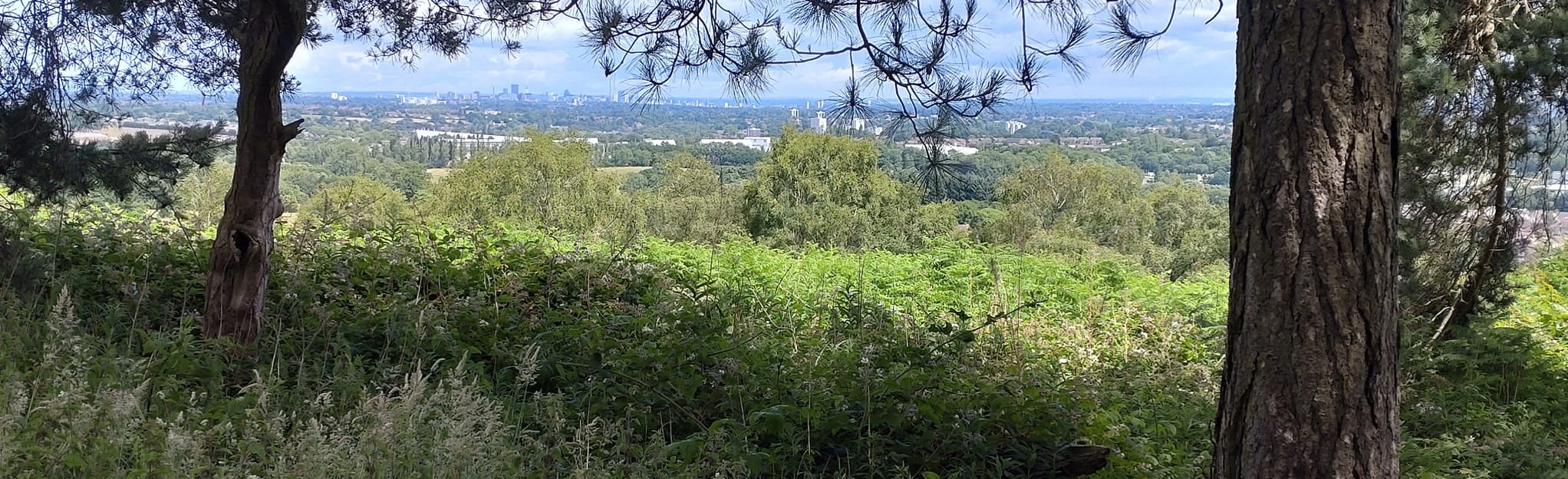Lickey Hills Circular, West Midlands, England - 174 Reviews, Map ...