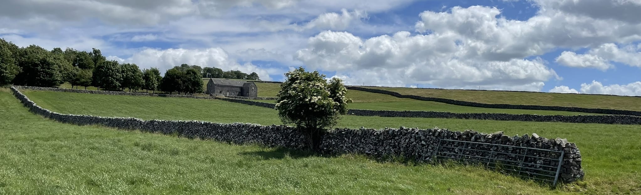 Parwich and Tissington Trail Circular, Derbyshire, England - 21 Reviews ...