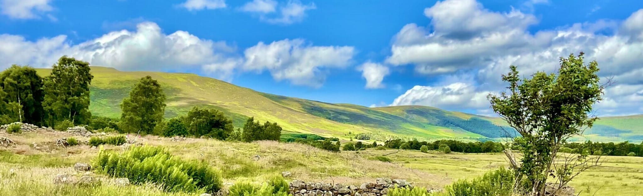 Logie Coldstone, Wells of Poldhu, and Auchnerran Circular ...
