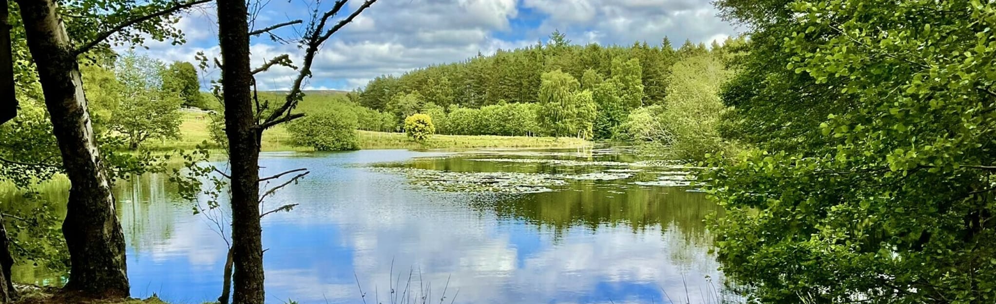 Logie Coldstone Circular, Aberdeenshire, Scotland - 4 Reviews, Map ...