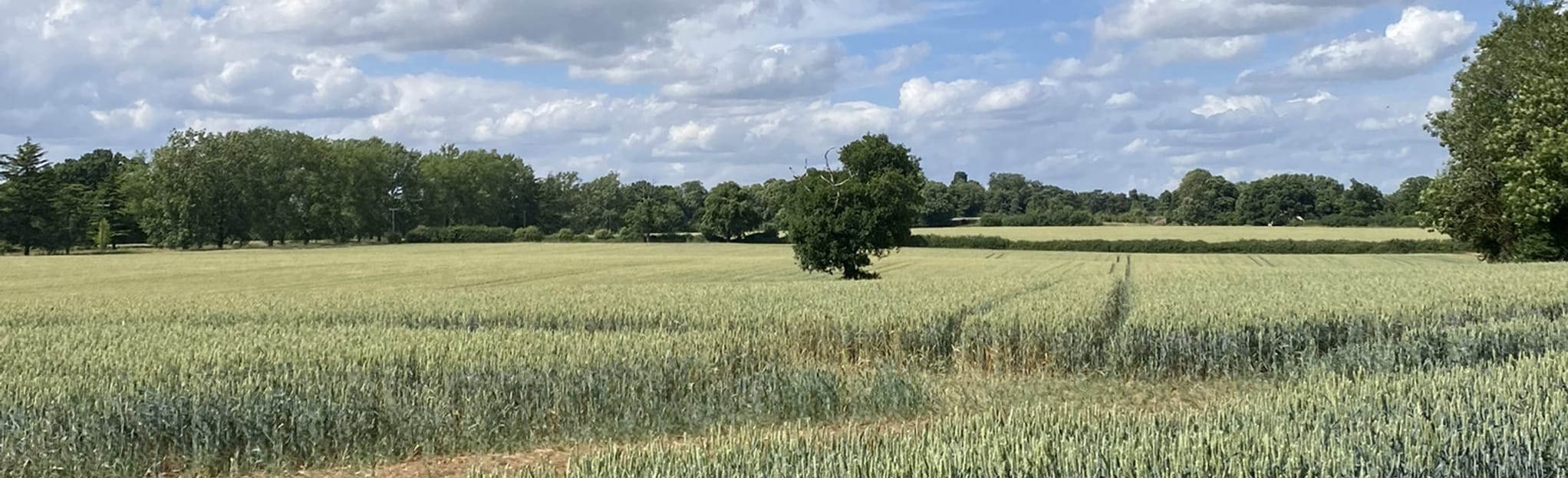 Benington and Bassus Green Circular, Hertfordshire, England - 43 ...