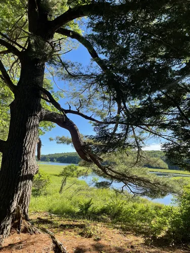 Best Hikes and Trails in Segerstrom Preserve | AllTrails