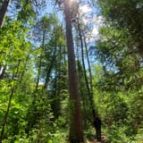 Lost '40' Trail, Minnesota - 158 Reviews, Map | AllTrails